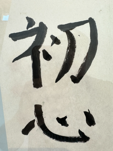 Shoshin, a Beginner’s Mind – Blumer CPAs